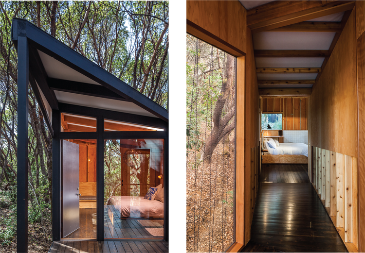 forest house | ENVELOPE